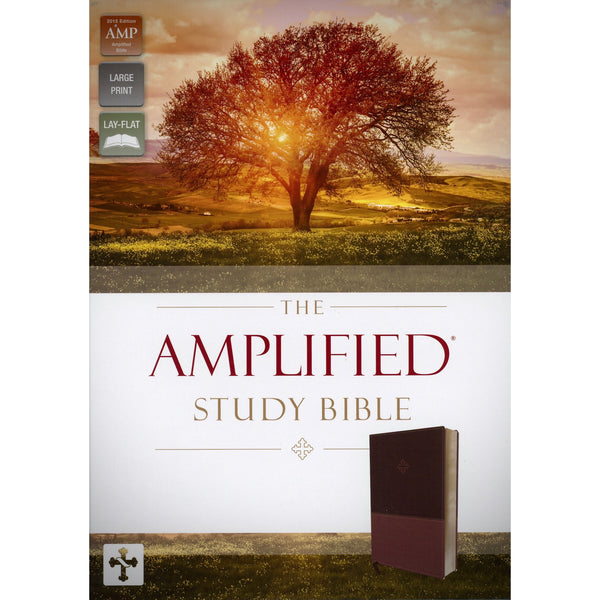 Amplified Study Bible Large Print Brown Leathersoft – Calvary Chapel ...